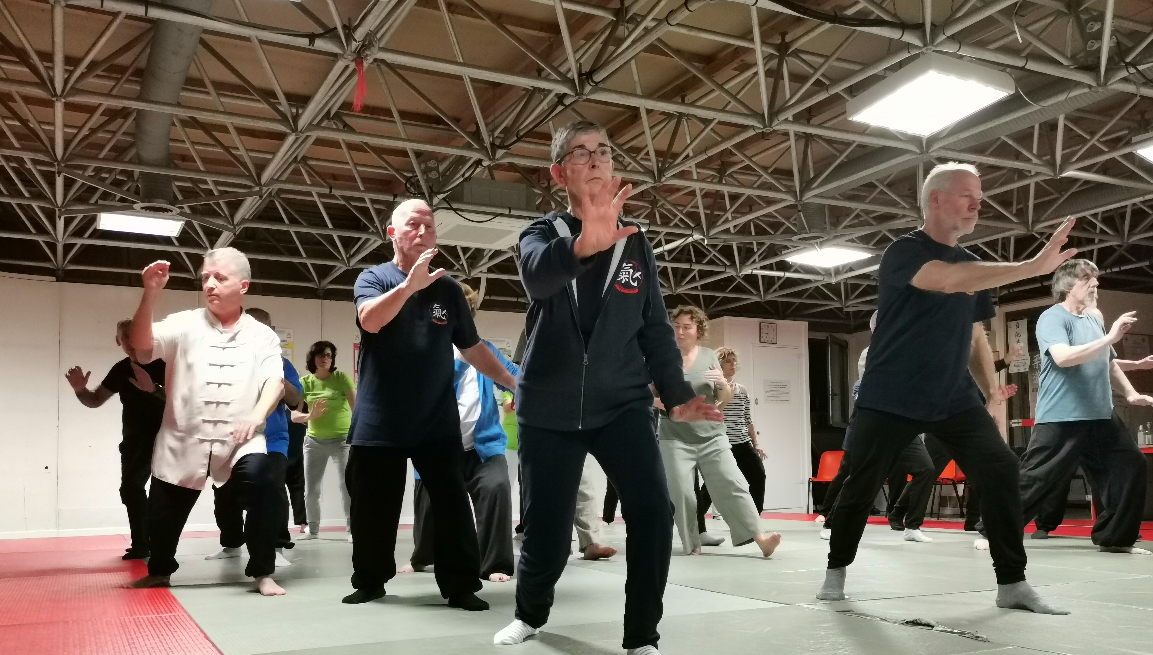 Le Taiji Quan dynamique sur tous les plans - Saint Pierre d'Irube